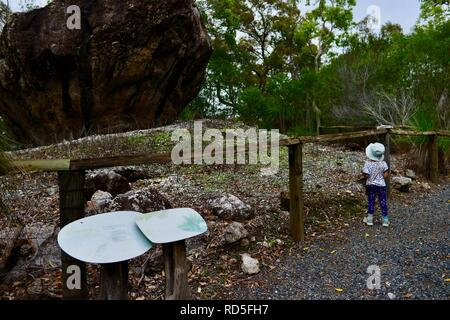 Aboriginal shell midden The diversity boardwalk at Cape Hillsborough ...
