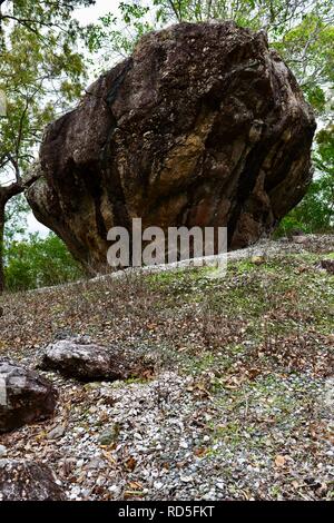 Aboriginal shell midden The diversity boardwalk at Cape Hillsborough ...