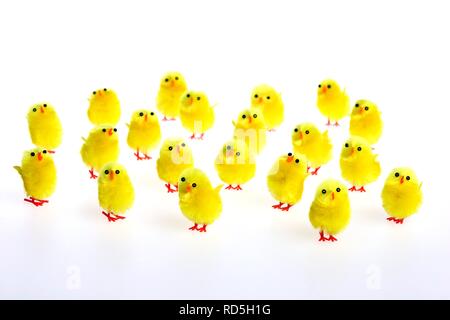 Mini chicks, Easter decorations Stock Photo - Alamy