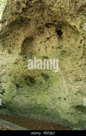 Alter Keller (D 241) 19 Stock Photo - Alamy