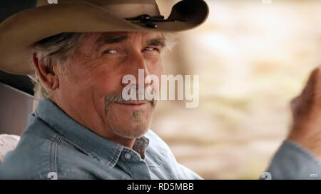 BEING ROSE, James Brolin, 2017. © Gravitas Ventures / courtesy Everett ...