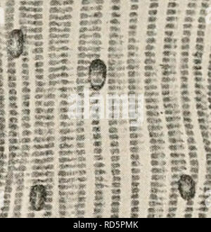 . Electro-physiology . iRittliilii Stock Photo - Alamy