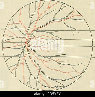 . Cunningham's Text-book of anatomy. Anatomy. Retina Fig. 686.- -A ...