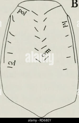 . The Cyathaspididae; a family of Silurian and Devonian jawless ...