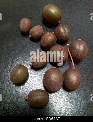 Aloe tormentorii fruits Mauritius 4 Stock Photo - Alamy