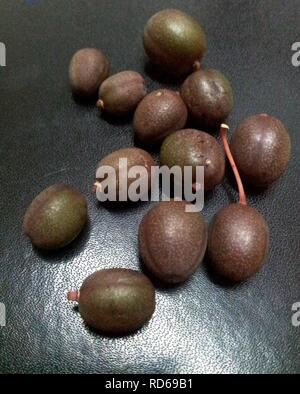 Aloe tormentorii fruits Mauritius 5 Stock Photo - Alamy