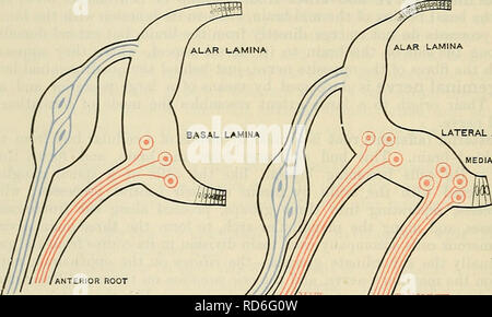. Cunningham's Text-book of anatomy. Anatomy. Auditory tube Membrana ...