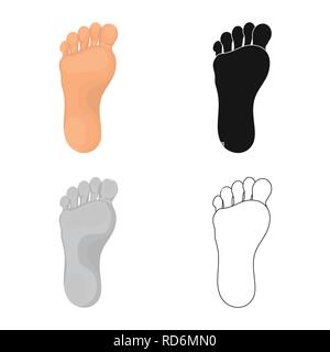 foot,leg,trace,skin,toes,barefoot,woman,beautiful,smooth,care,body,part ...