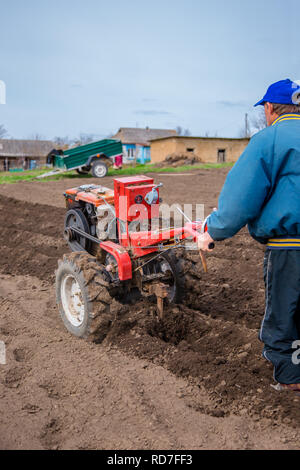 Boxes with potatoes. Preparation for planting potatoes Stock Photo - Alamy