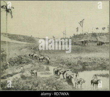 Juan Ponce de Leon led the first official European expedition to ...