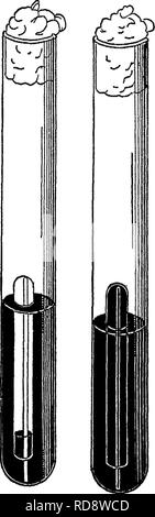 Bacteria colonies on petri dishes Stock Photo - Alamy