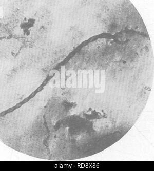 . A laboratory manual of soil bacteriology. Soil microbiology. Fig. 8 ...
