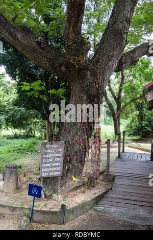 Killing tree, killing fields, Phnom Penh, Cambodia, death Stock Photo ...