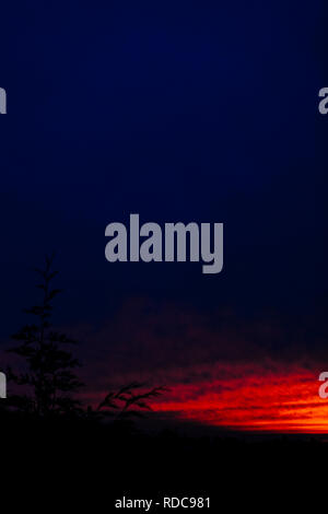 Natural Evening Red Sky At Night Stock Photo - Alamy