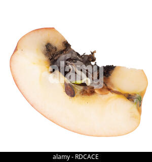 Vivipary in apple. Seeds, pips are already growing in the core when the ...
