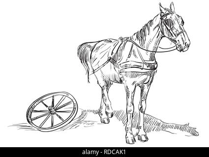 Horse in harness hand drawing illustration on white background Stock ...