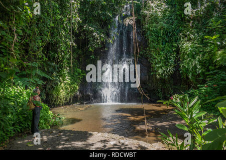 Vaipahi Waterfall and Gardens Island of Tahiti French Polynesia Stock ...
