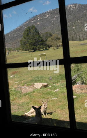 Historic Orroral Homestead, Orroral Valley, Namadgi National Park, ACT ...