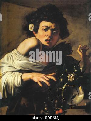 Boy Bitten by a Lizard-Caravaggio (Longhi Stock Photo - Alamy
