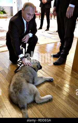 Russian President Vladimir Putin with a puppy born to his dog Labrador ...
