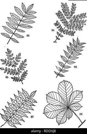 Image from page 88 of 'From the Black Sea through Persia and India ...