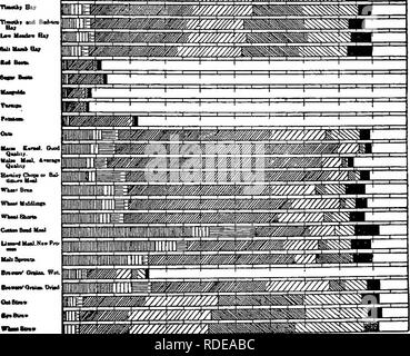 . The family horse : its stabling, care and feeding : a practical ...