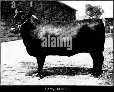 This entry in 'Types and Breeds of Farm Animals' details the history of ...