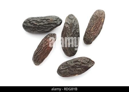 Tonka beans, seed of the Tonka tree (Dipteryx odorata), spice and ...