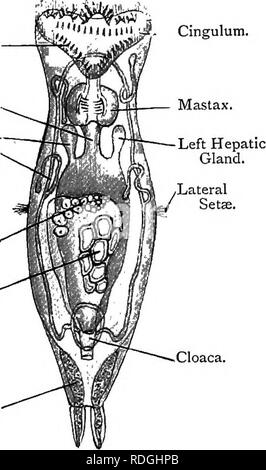. Elementary text-book of zoology. 85 part 2. —?— CHAPTER XI. TYPES OF ...