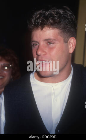 SEAN ASTIN ATTENDS THE 'LORD OF THE RINGS: THE RETURN OF THE KING' IN ...
