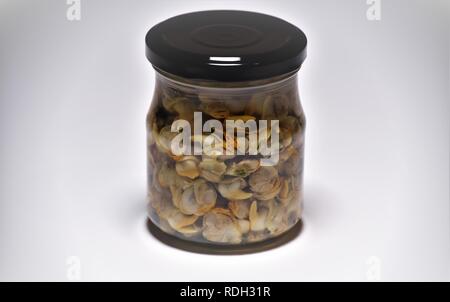 Cockles, cerastoderma edule, in a jar pickled in vinegar bought from a ...