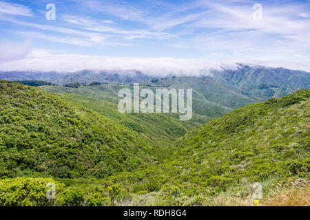 Fog covering Montara mountain (McNee Ranch State Park) landscape ...