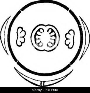 This work by Henri Ernest Baillon and Marcus Manuel Hartog covers the ...