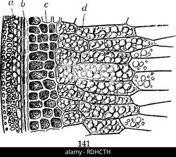 This section of physiological botany outlines the histology and ...