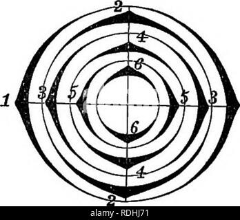 . Elementary botany. Botany. Fig. 42. Longitudinal section of vascular ...