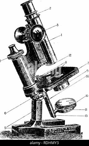 . How to use the microscope; a guide for the novice. Microscopes. THE ...