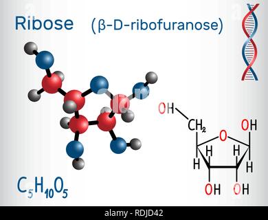 Ribose (β-D-ribofuranose) molecule, it is a pentose monosaccharide ...