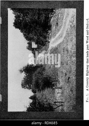Anna Botsford Comstock, 1854 - 1930, US naturalist Stock Photo - Alamy