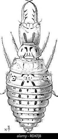 . The Cambridge natural history. Zoology. PHARYNX AND GILL-CLEFTS 121 ...