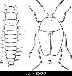 . The Cambridge natural history. Zoology. 24 SACRUM AND CAUDAL SERIES ...