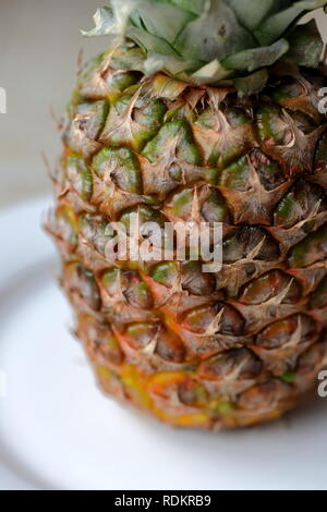Pineapple white plate single fruit tasty summer spring Stock Photo - Alamy