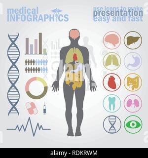 Human body health care infographics, with medical icons, organs, charts ...