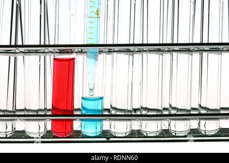 Test tubes. Several test tubes in a rack with an increasing amount of ...