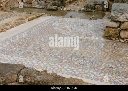 Elaborate mosaic floor of a basilica in the archaeological site of Tel ...