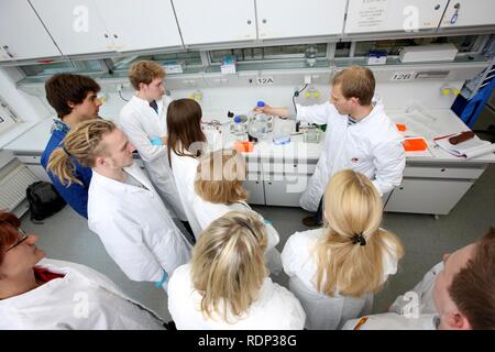 Medical students, internship group in a laboratory, the internship ...