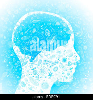 Human brain biomes, illustration Stock Photo - Alamy