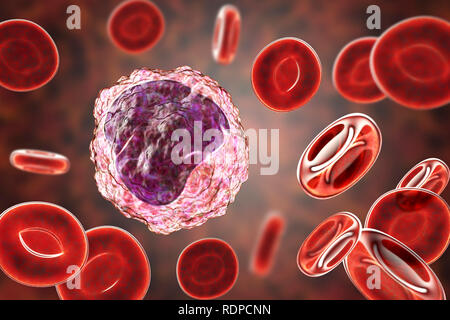 The structure of the monocyte. Monocytes blood cell. macrophage. White ...