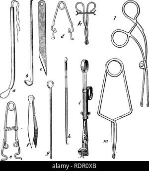 . Practical poultry production . Poultry. CAPONS AND CAPONIZING 193 ...