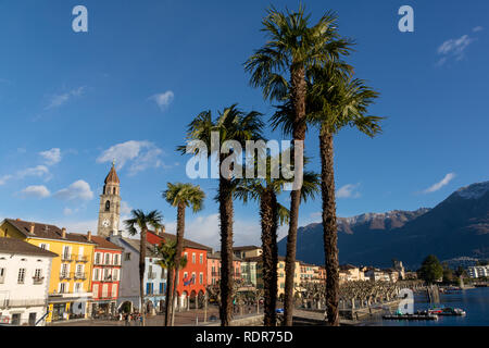 Palm trees and snow peaks of the Alps mountains in Ascona town on lake ...