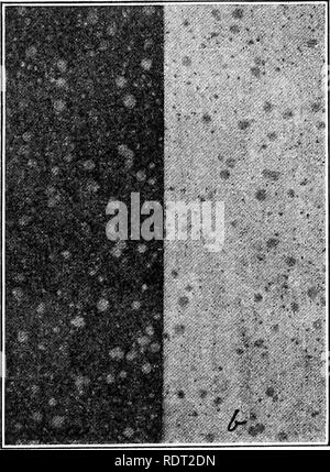 Lead acetate test for hydrogen sulphide in gas. . To test thetruth of ...